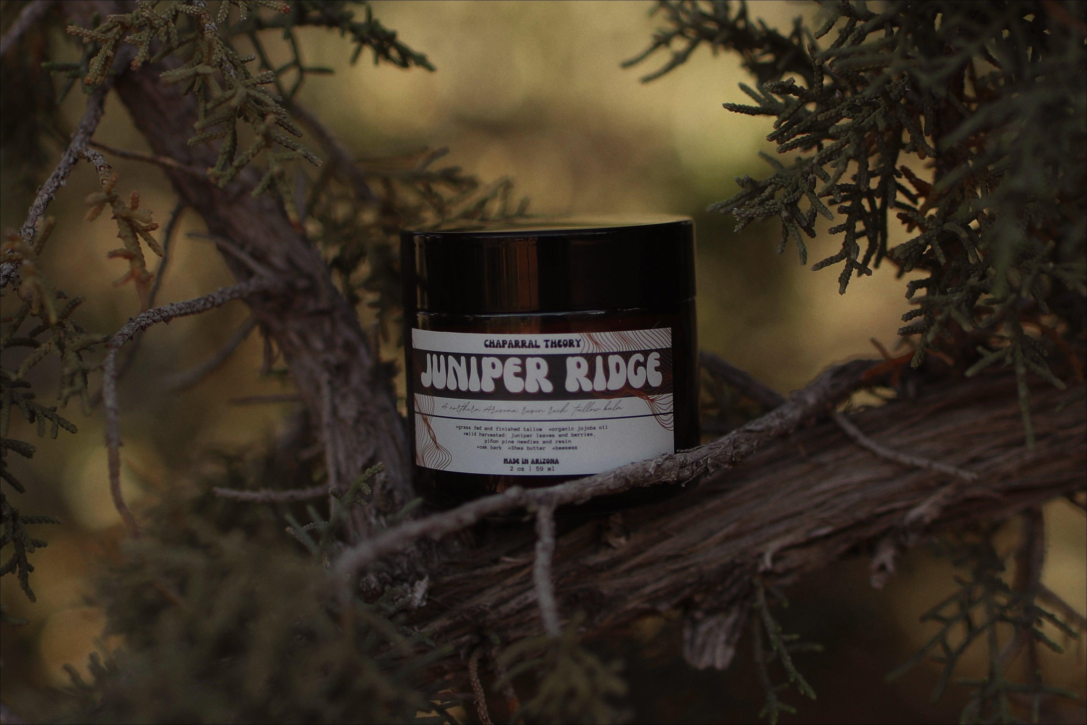 JUNIPER RIDGE | Northern Arizona resin rich tallow balm – Chaparral Theory